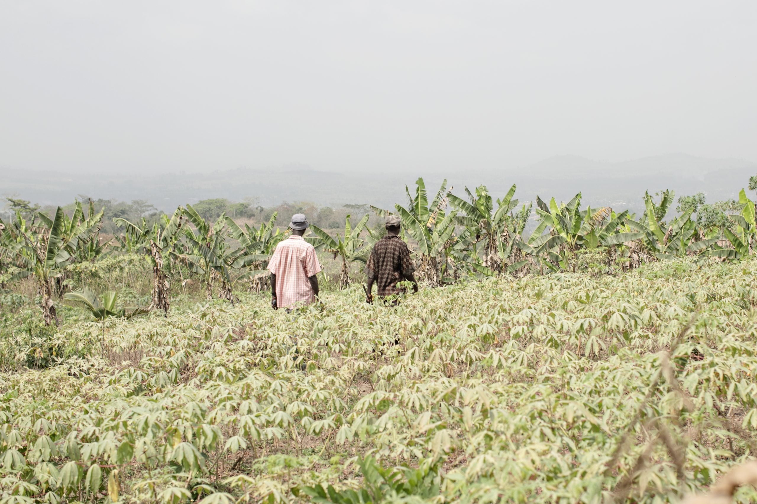 The astounding natural wonders of our planet
