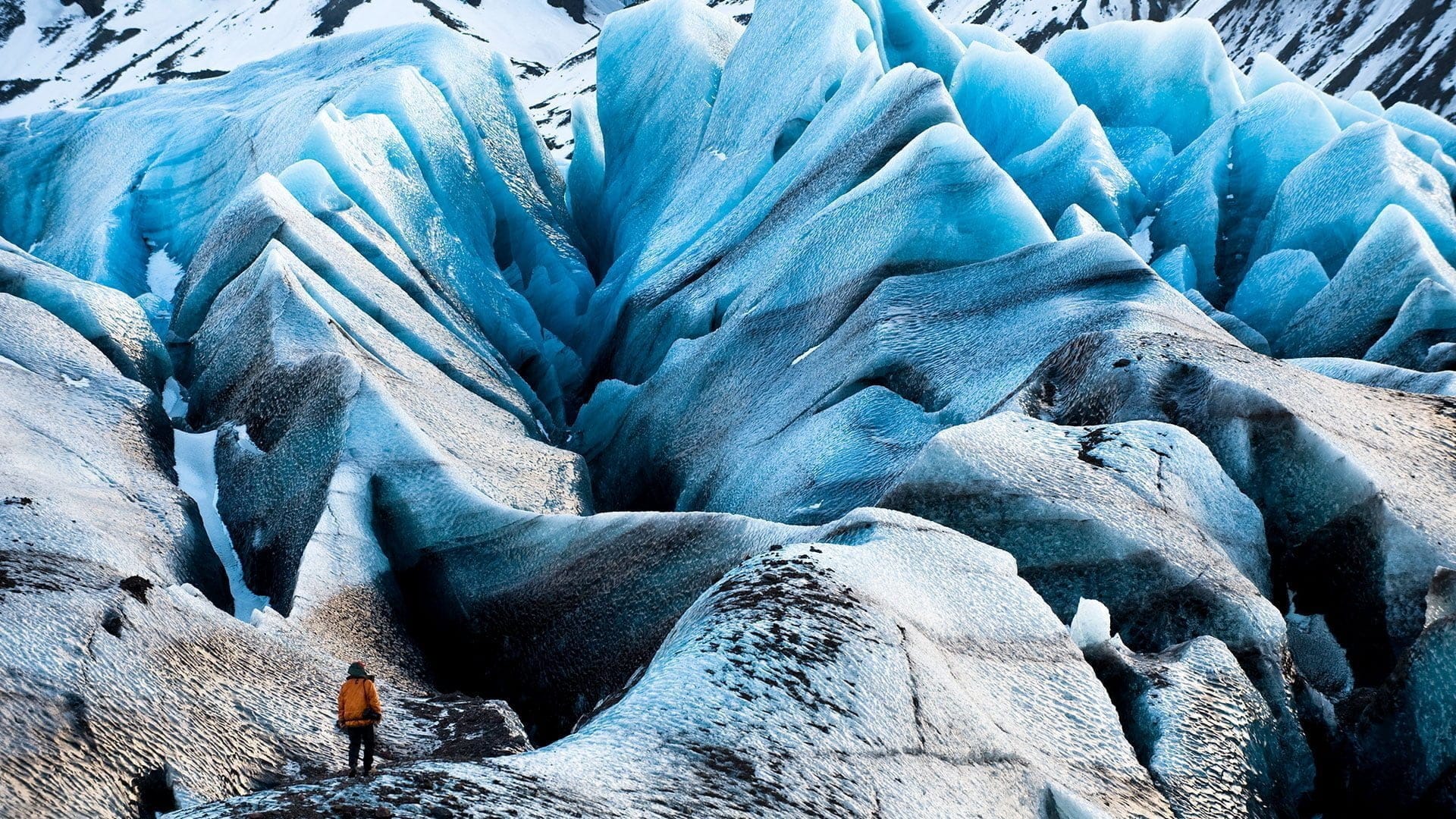How ‘Netflix for nature’ is changing the way we watch