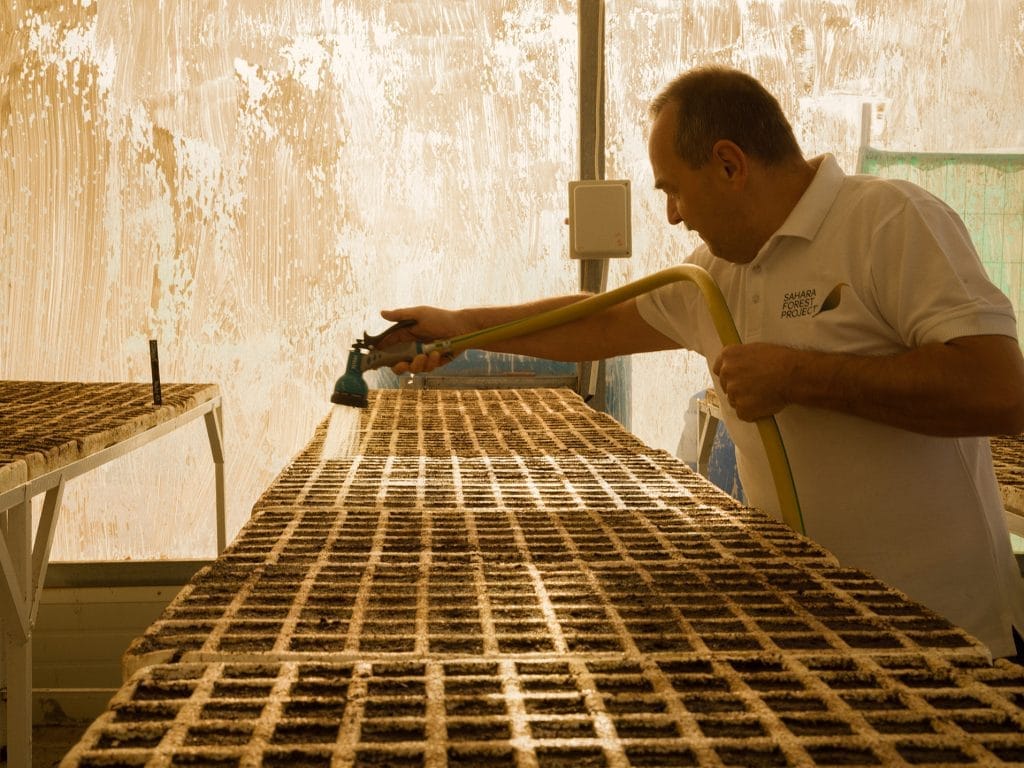 Food in the desert | The Sahara Forest Project shows it's possible