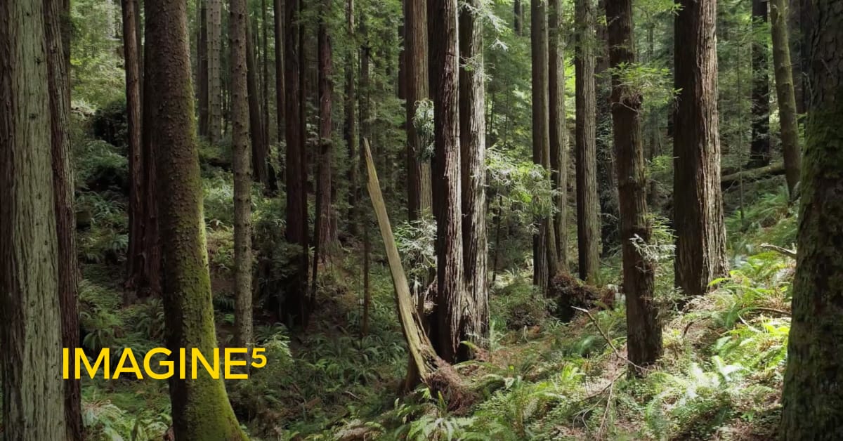 What if trees were people too?