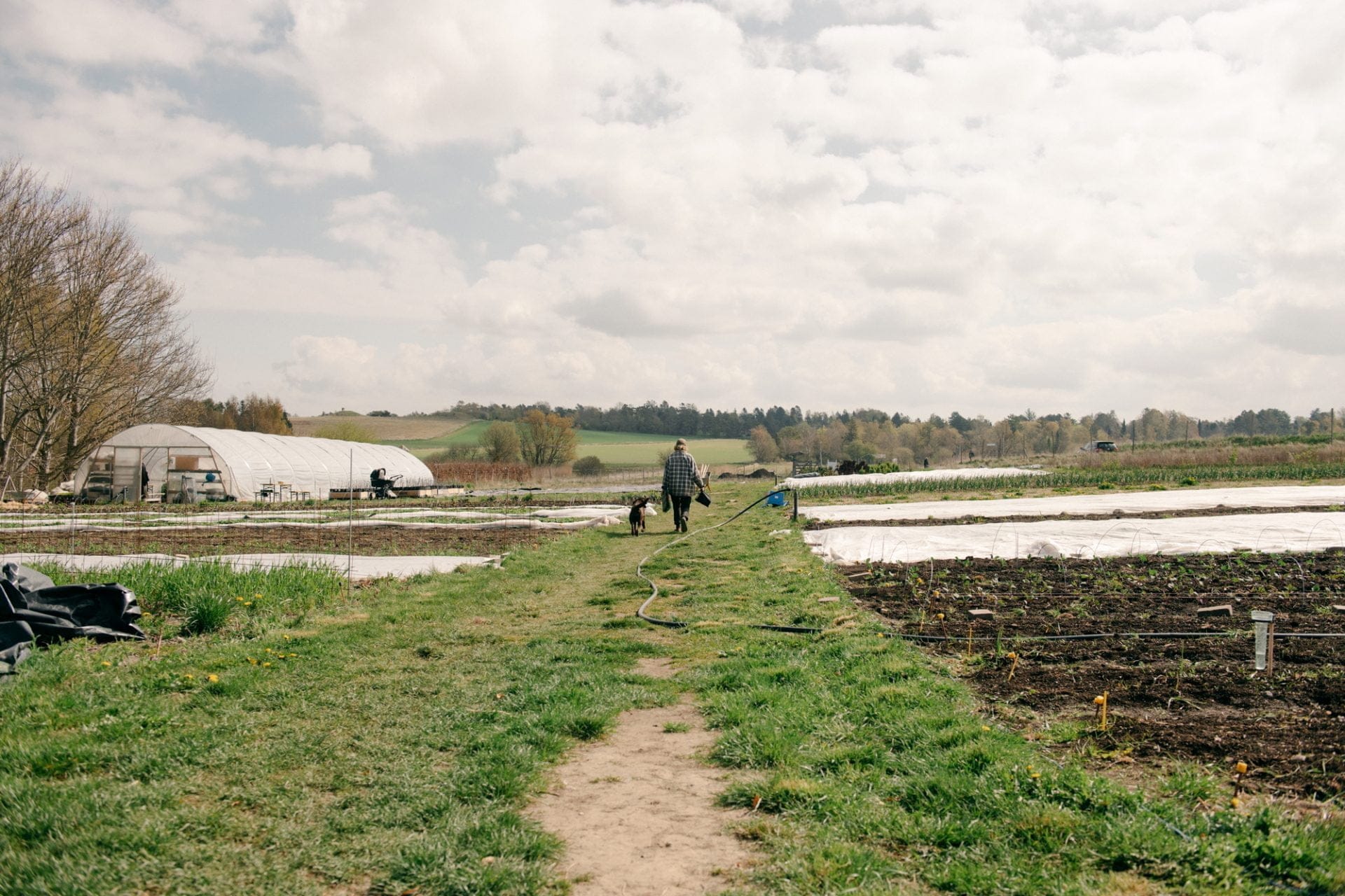 Who wants to buy a farm with me? Welcome to Andelsgaarde