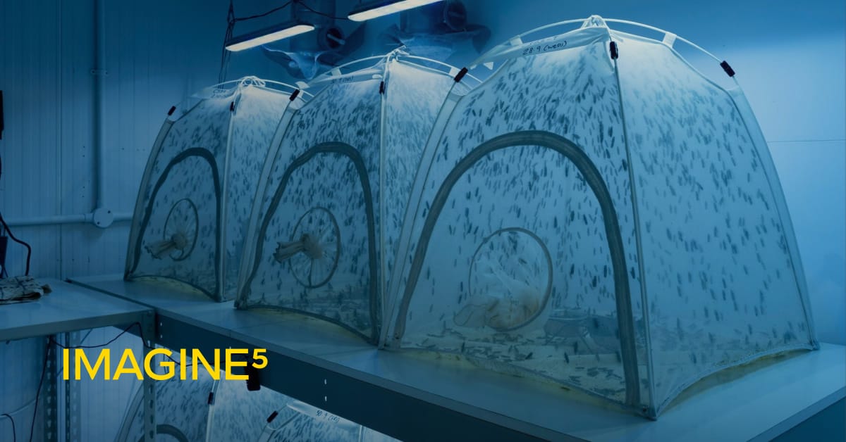 The bug farm under a London railway arch