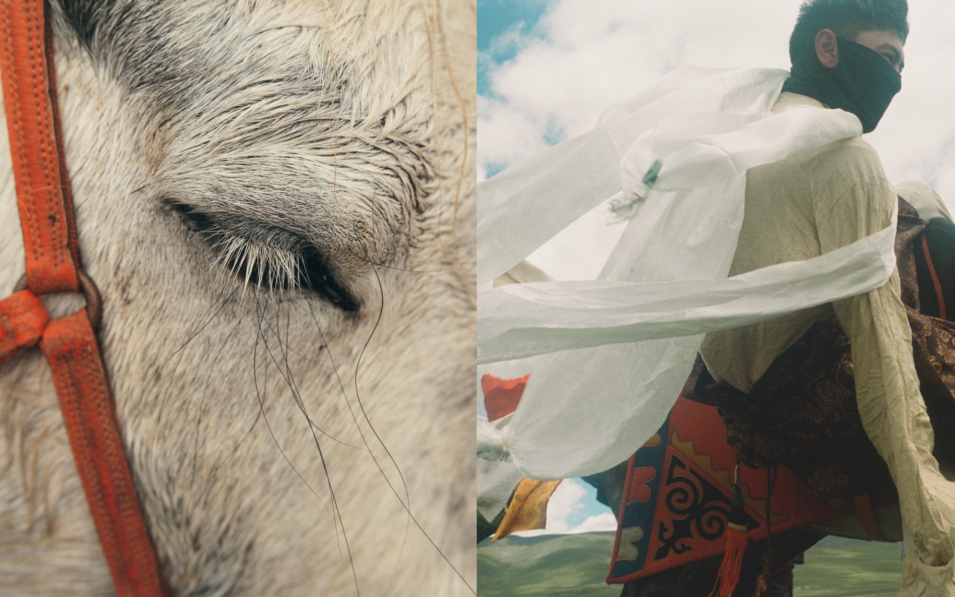 Here on the Tibetan plateau, lives are woven into the land