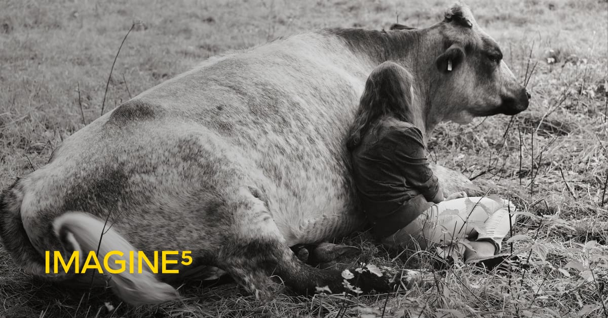 “Companionship goes both ways”