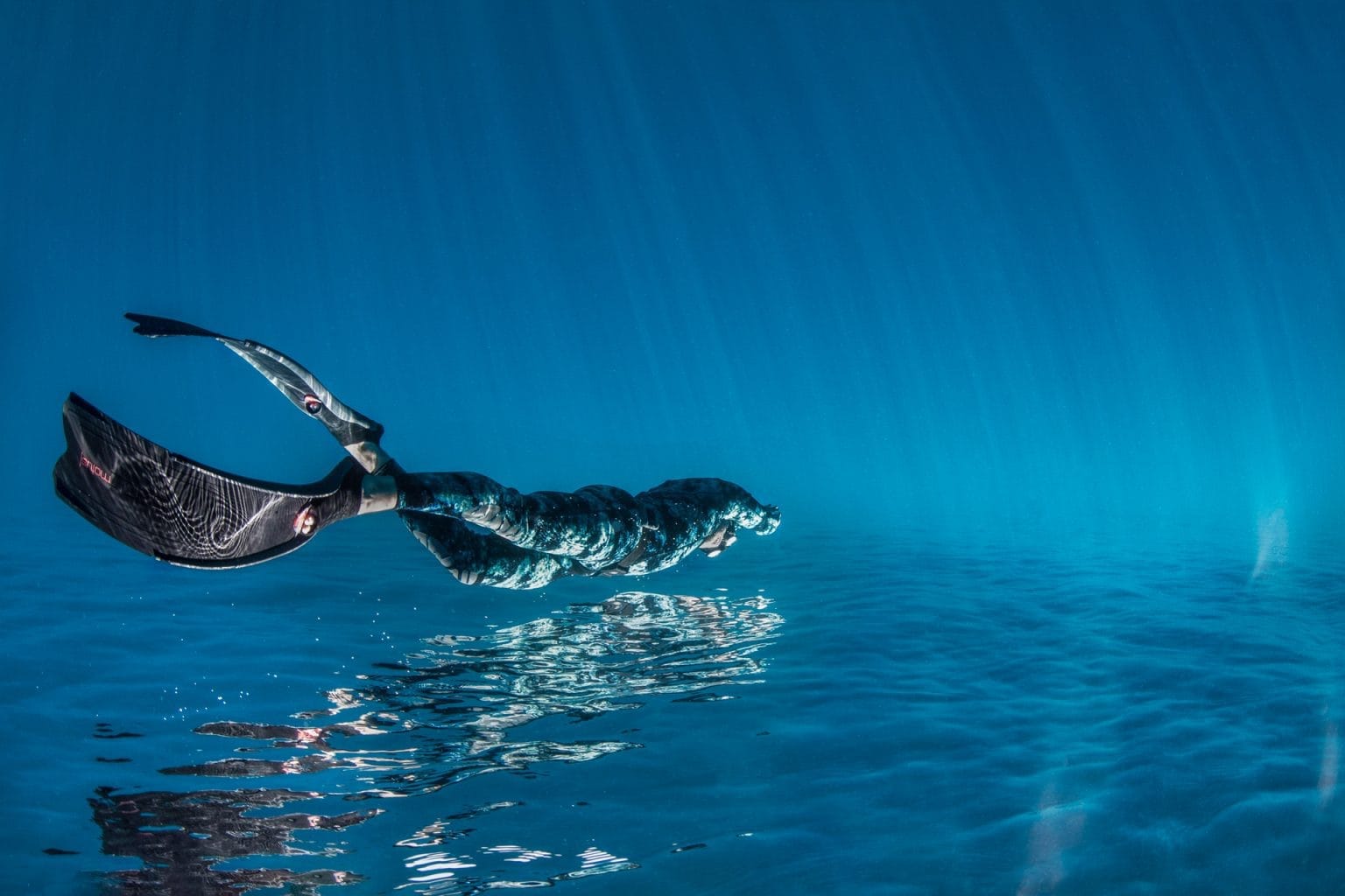 Must-sea: Ocean photographer of the year 2023 - Imagine5