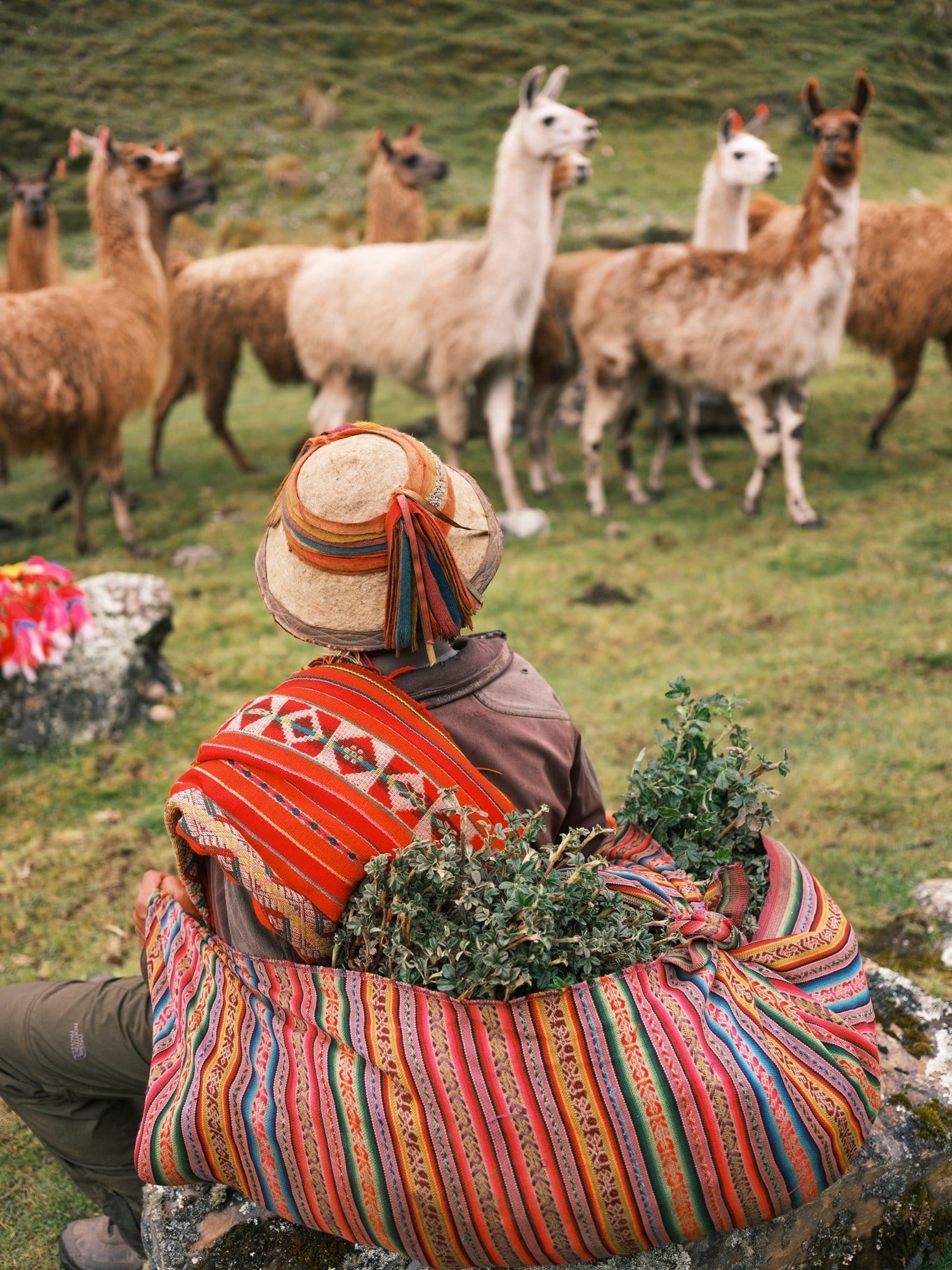 Turning trees into water: Scenes from a Peruvian planting festival