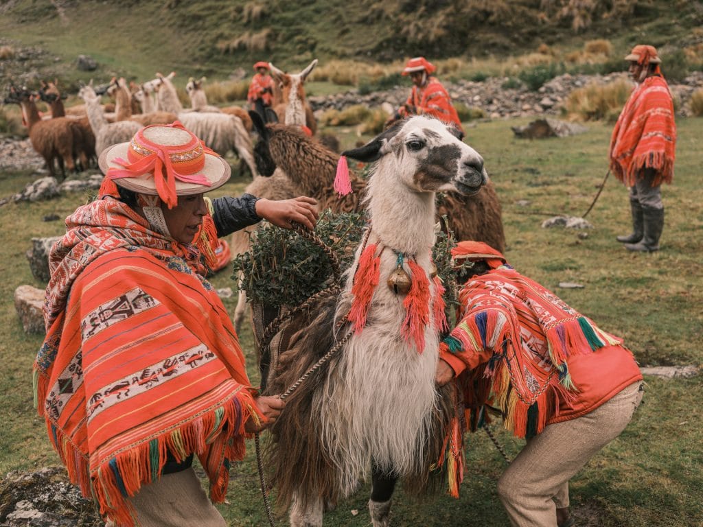 Turning trees into water: Scenes from a Peruvian planting festival