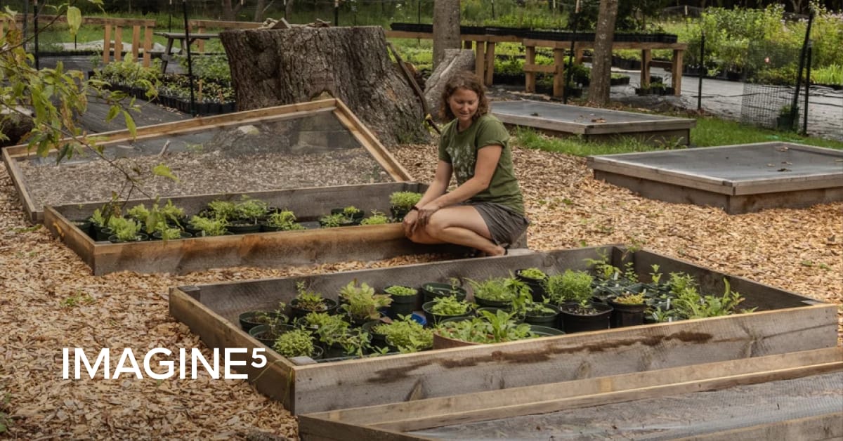The Wild Seed Project | Gardeners unite in a growing movement