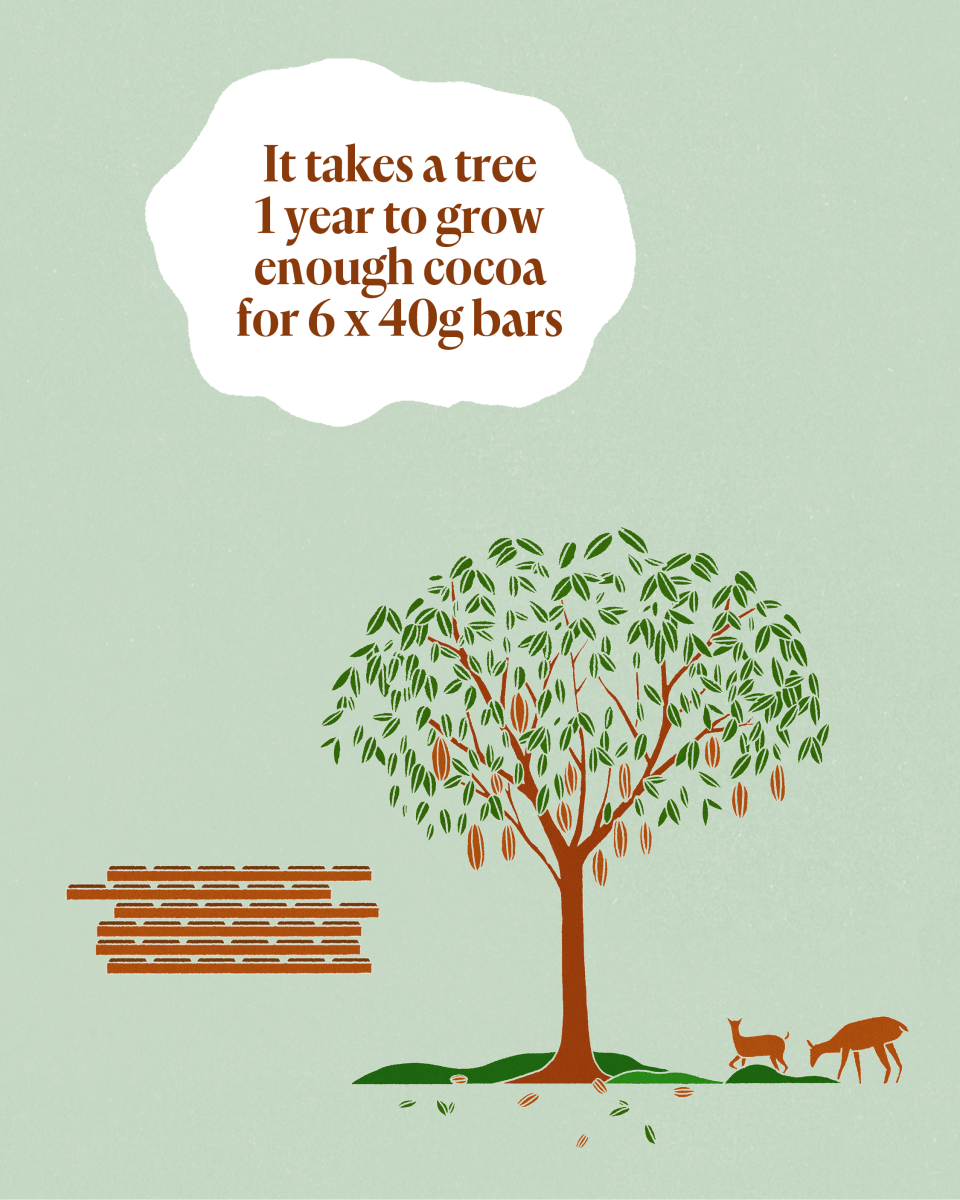 Chocolate: its carbon footprint and impact on the environment