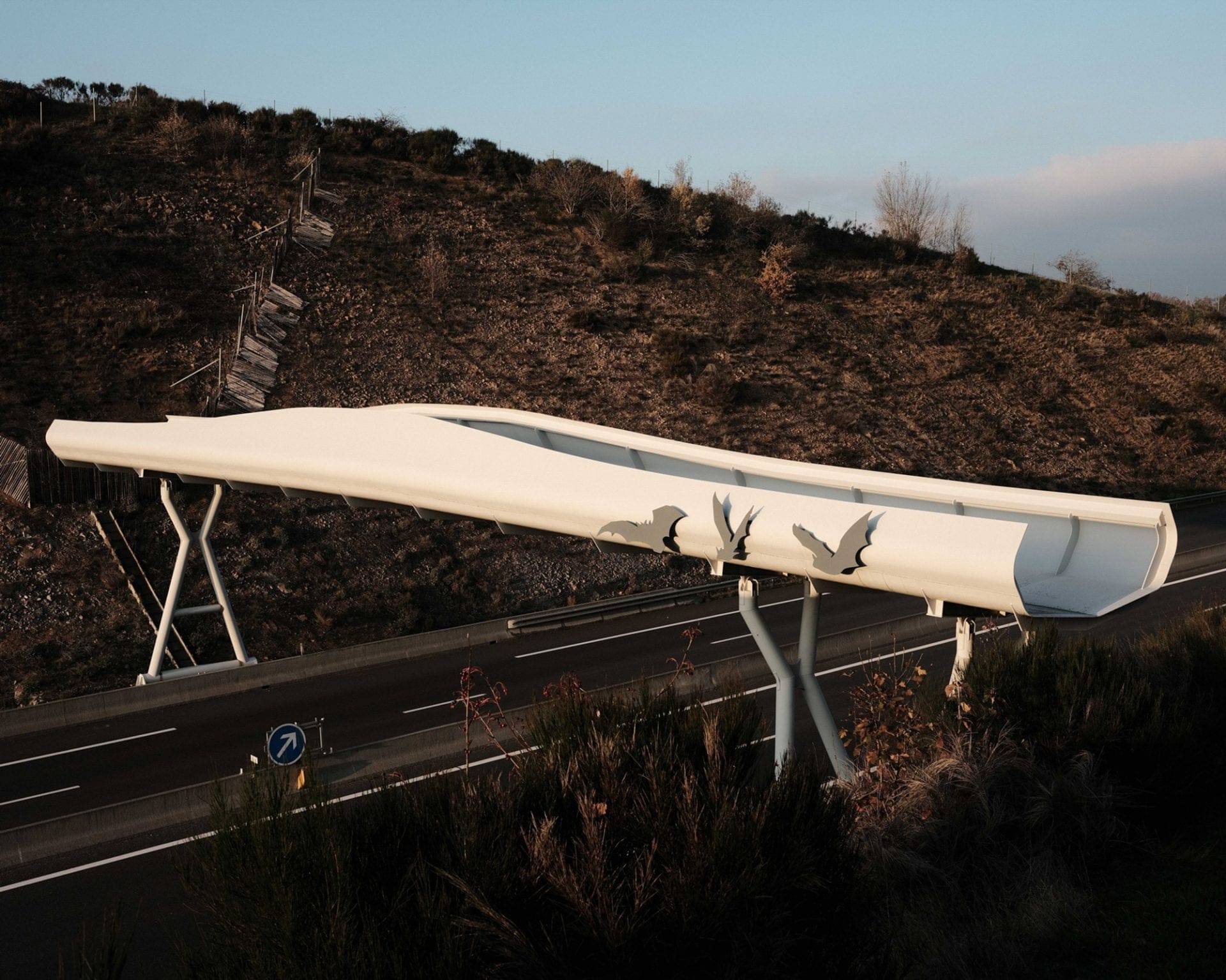 Make way for wildlife: The eco corridors linking Europe's wild places