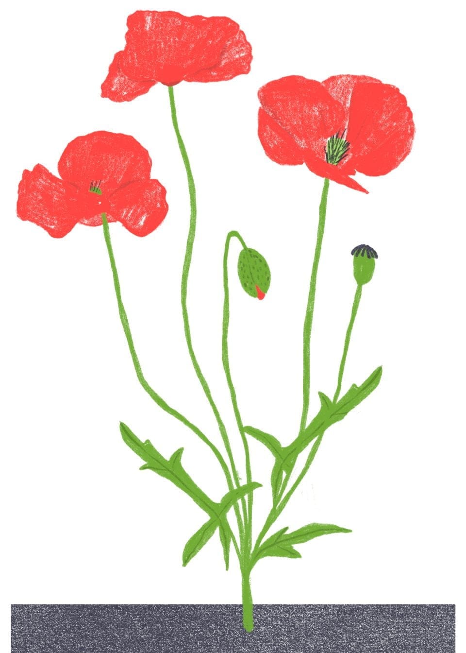 What is guerrilla gardening? | Guide with tricks, tips & ideas