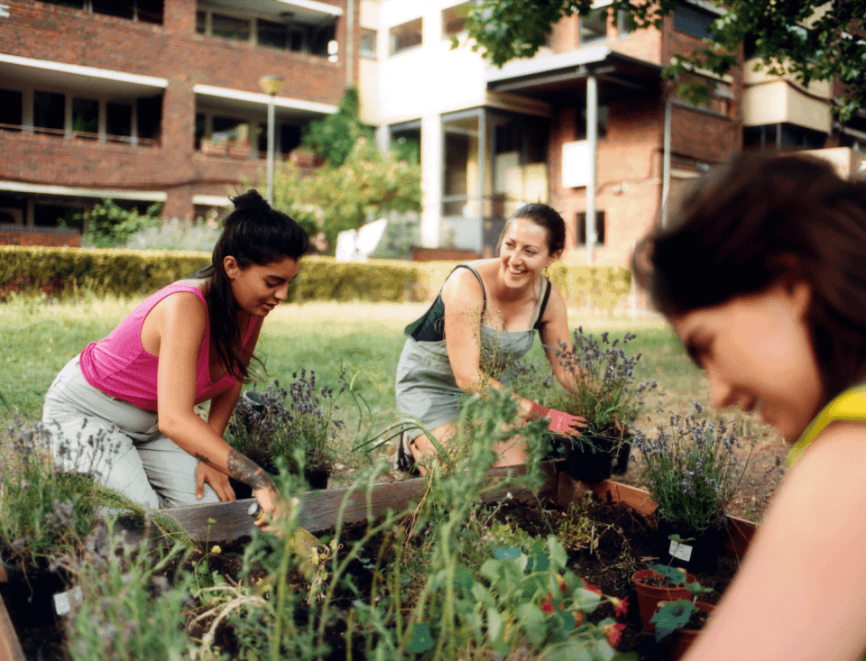 What is guerrilla gardening? | Guide with tricks, tips & ideas