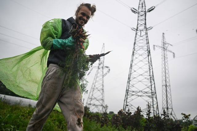 Positive human impact on the environment – yes, it's possible