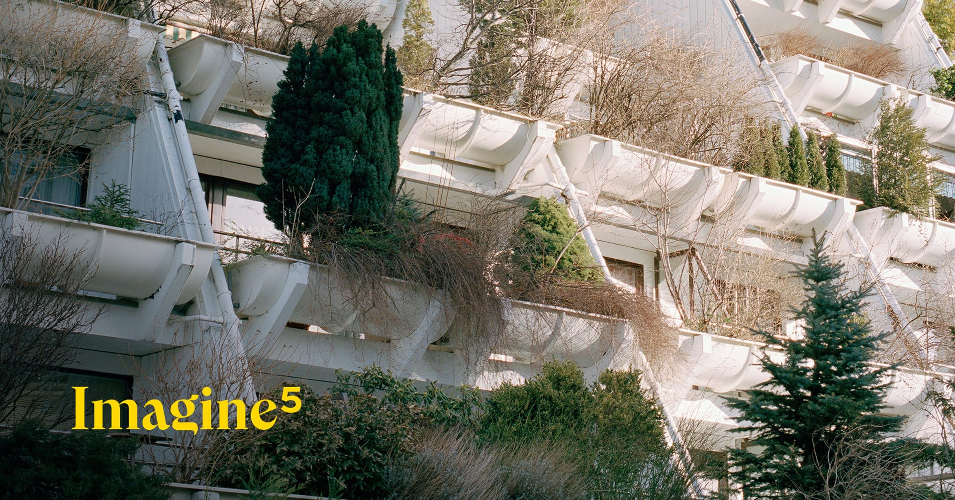 What is urban rewilding? | How cities are going green