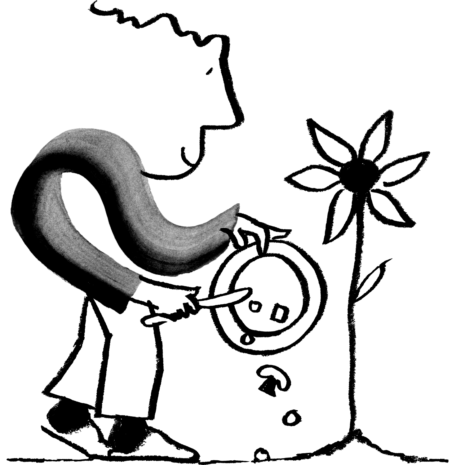 Imagine5 - Stories for a greener planet