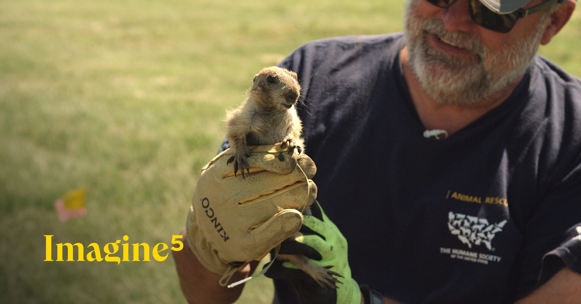 Prairie dog rescue | Meet the people standing up for prairie dogs